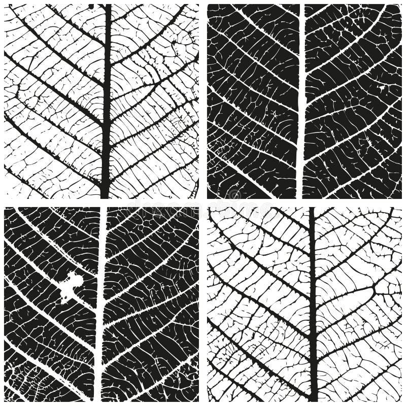 Set of Patterns with Skeleton Leaves. Natural Background. Vector ...