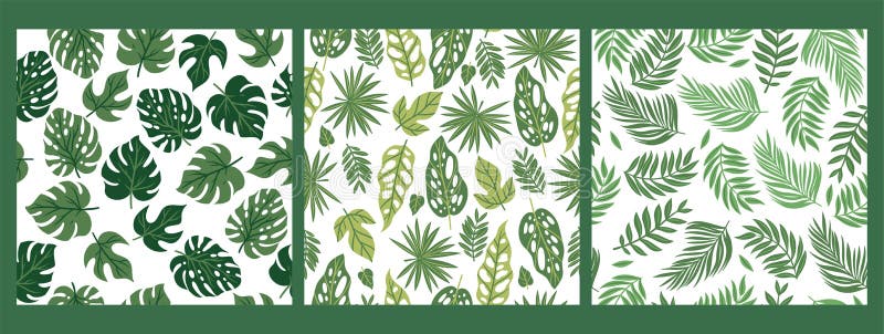 Set of Patterns with Tropical Leaves. Vector Graphics Stock Vector ...
