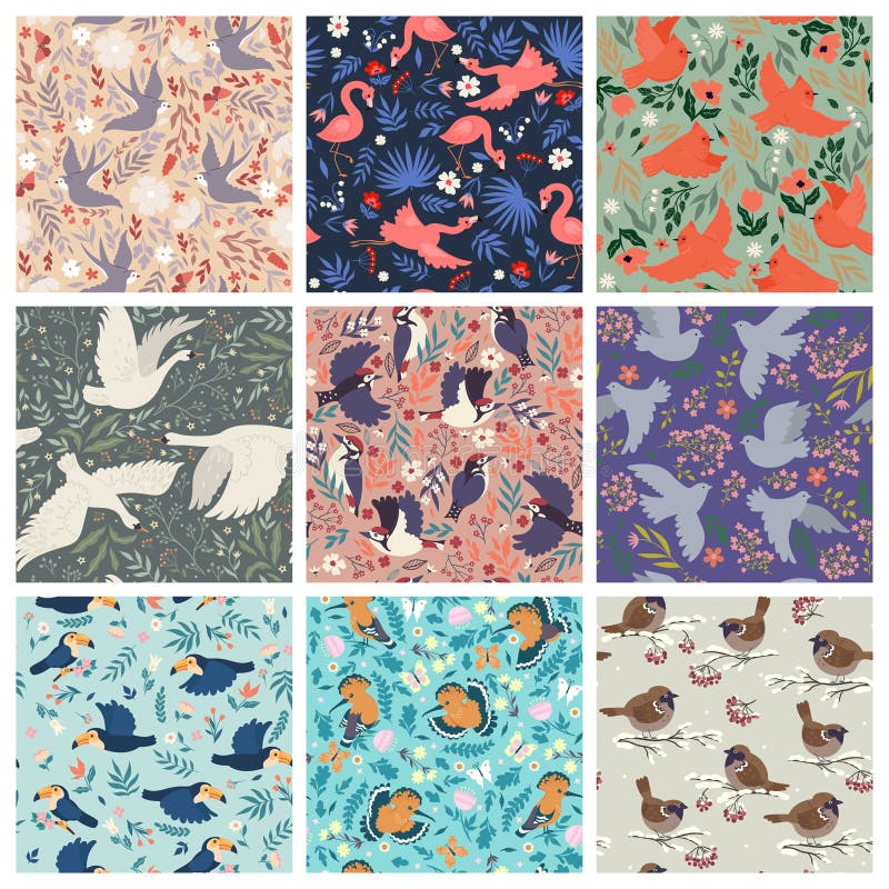 Set of Patterns with Various Birds. Vector Graphics Stock Vector ...