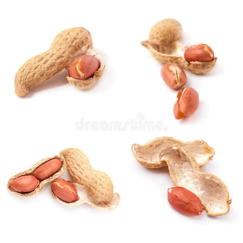 Set of Peanuts Isolated on White Background Stock Photo - Image of ...