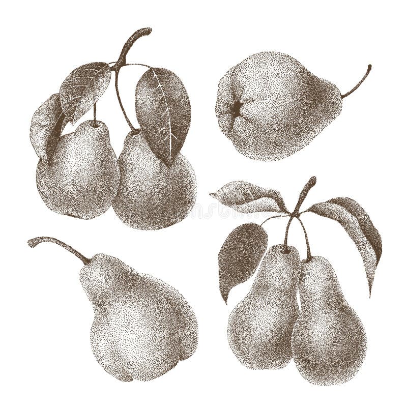 Food Pointillism Stock Illustrations – 245 Food Pointillism Stock ...