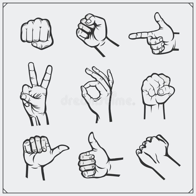 Set of People Hands. Different Gestures. Vector Illustration Stock ...