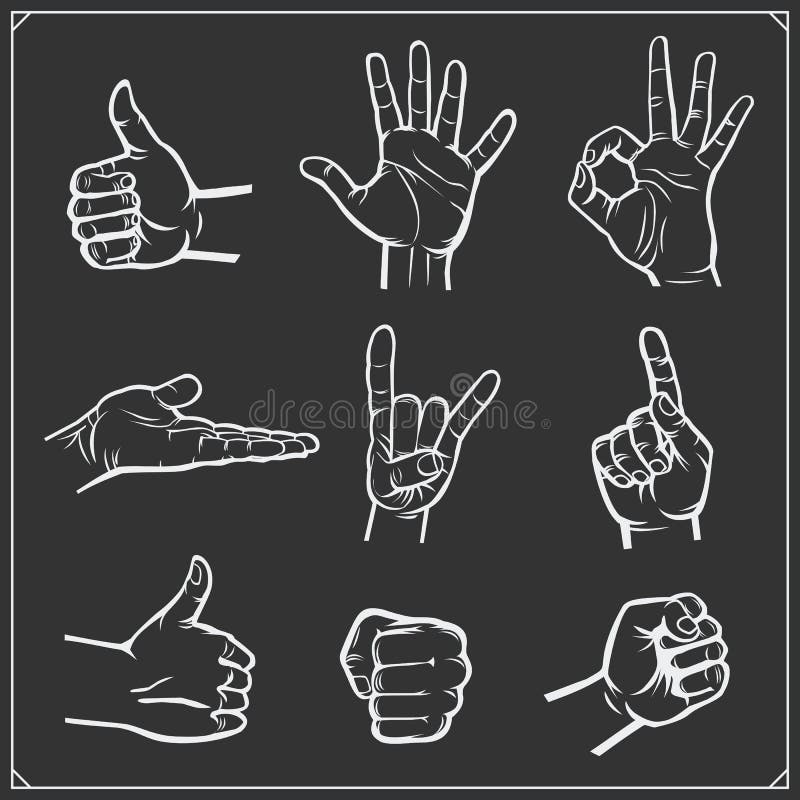 Set of People Hands. Different Gestures. Vector Illustration Stock ...