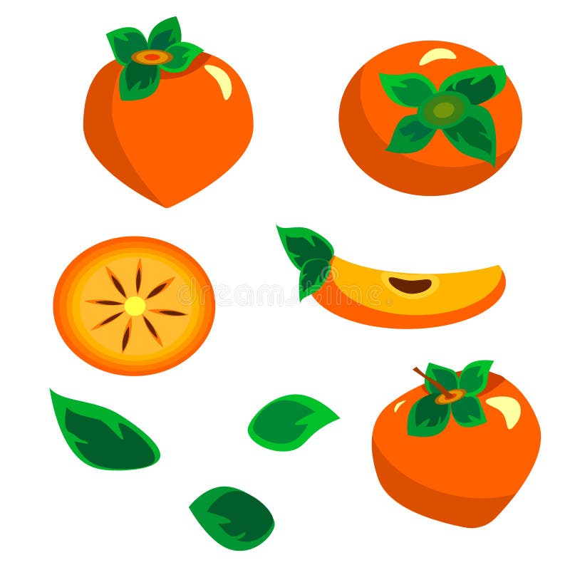 Set with Persimmon. Vector Illustration. in Flat Style Stock ...