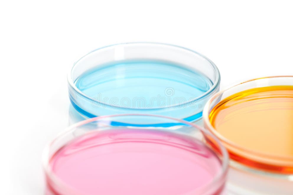 Set of Petri Dishes with a Colored Reagents Stock Image - Image of dish ...
