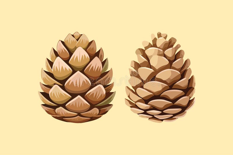 Set of Pine Cone in Different Style Vector Art Stock Vector - Illustration of design, foliage ...