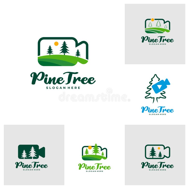Set of Pine Tree with Camera Logo Design Vector. Creative Pine Tree ...
