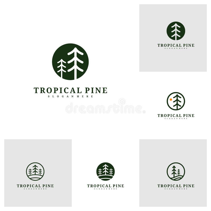 Set of Pine Tree Logo Design Vector Template, Tropical Forest Logo Concepts Illustration Stock ...