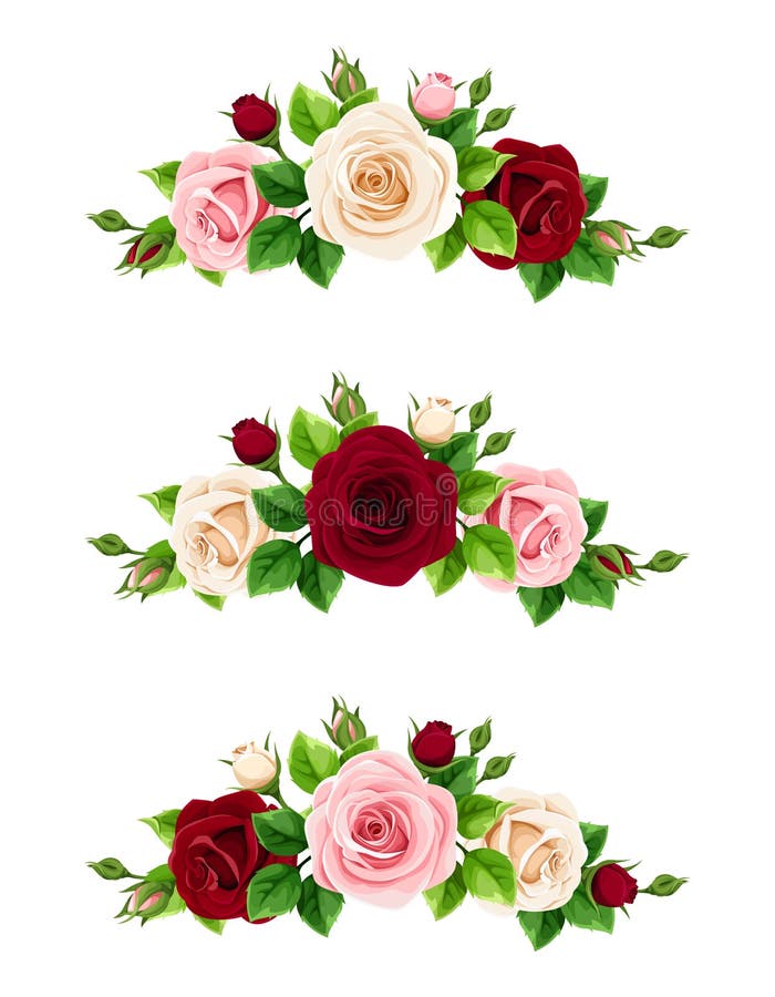 Set of pink roses. stock vector. Illustration of pink - 38643090