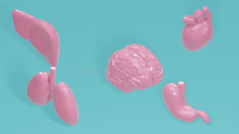 Set of Pink Human Organs. Abstract Loop Animation Stock Video - Video ...
