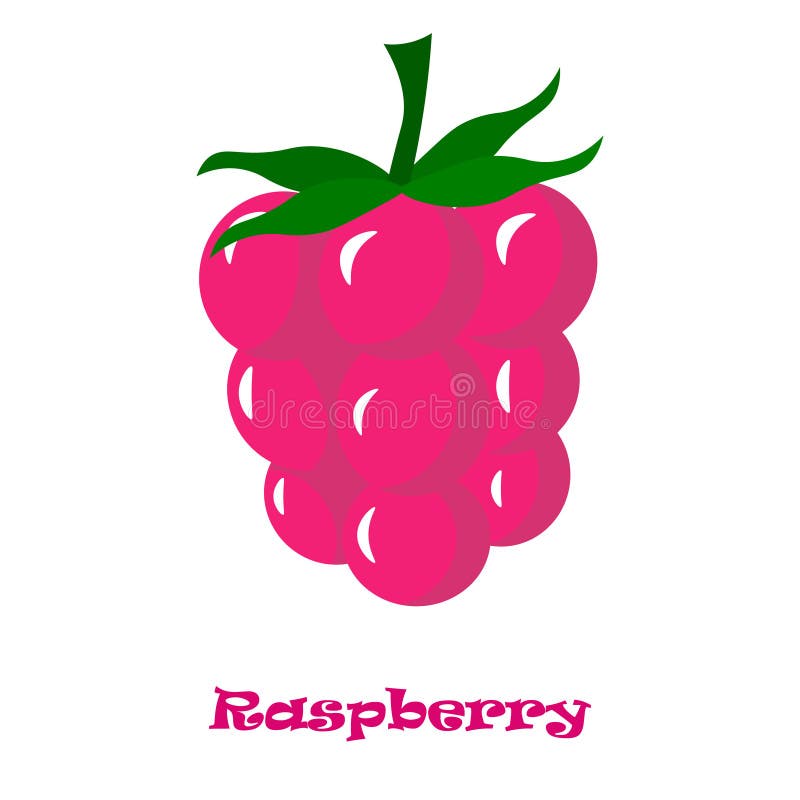 Set of Pink Raspberry. Vector Icon Design on White Backdrop. Organic ...