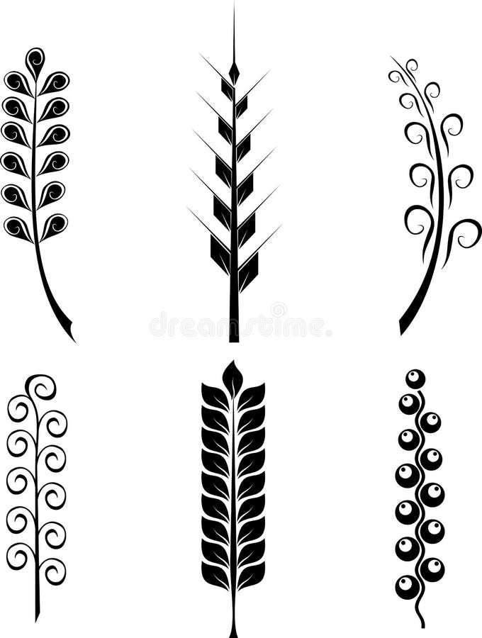Set of plant elements stock vector. Illustration of simplicity - 28774089