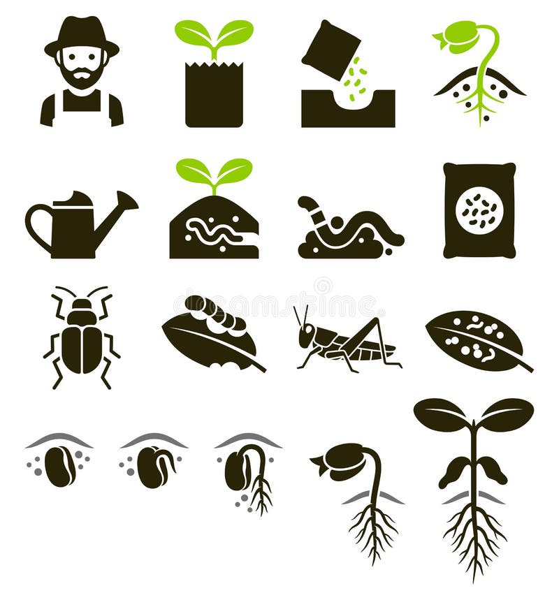 Plant Icons. Vector Illustrations Stock Vector - Illustration of ...