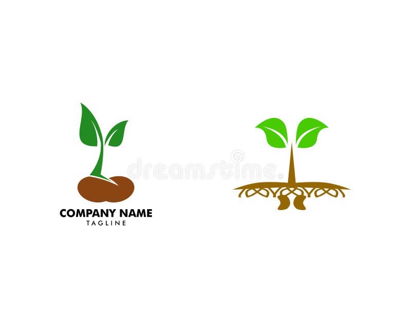 Set of Plant Seeds Logo Concept Template Vector Stock Vector ...