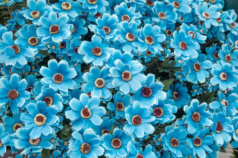 Set of plastic flower stock photo. Image of plastic, bunch - 38168878