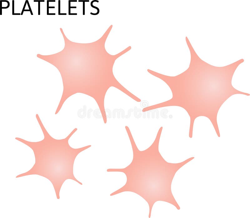 Set of Platelet Cells. Thrombocytes. Vector Illustration Stock ...