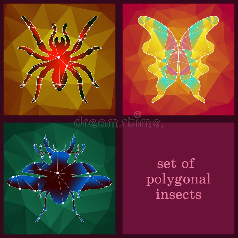 Set of polygonal insects stock vector. Illustration of drawing - 53276420