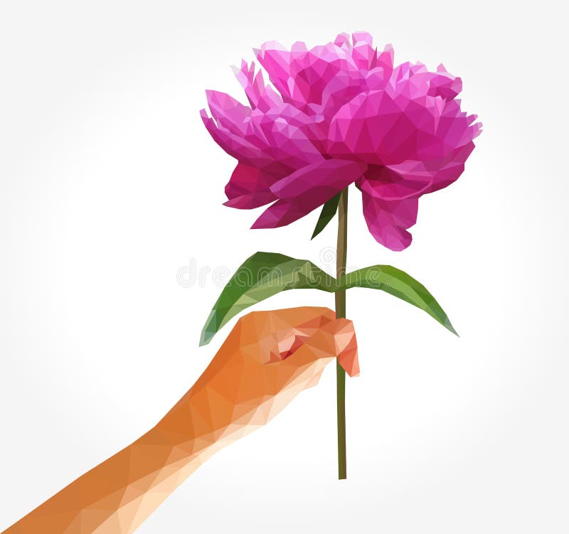 Set Polygonal Peony Flower Left Hand Stock Vector - Illustration of ...