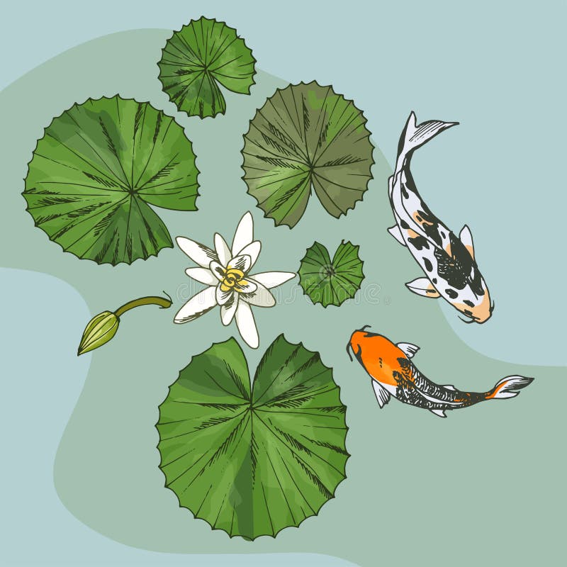 Set of Pond Elements Water Lilies and Koi Carp Stock Vector ...