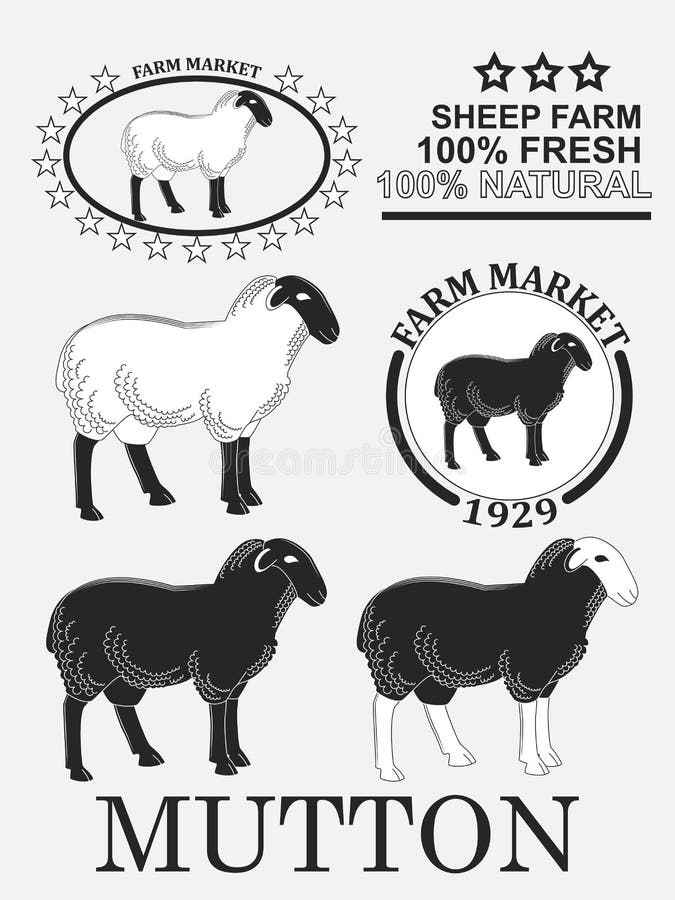 Set of Premium Lamb Labels, Badges and Design Elements. Logo for ...
