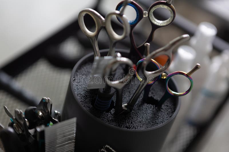 Set of Professional Instruments for Grooming Animals. Clippers, Brushes ...