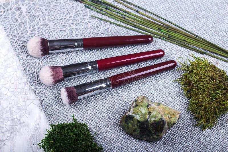 Set of Professional Makeup Brushes and Tools, Decorative Elements Stock ...