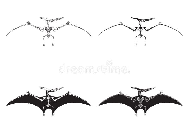 Set of Pteranodon Icons. Vector Illustration Decorative Design Stock ...