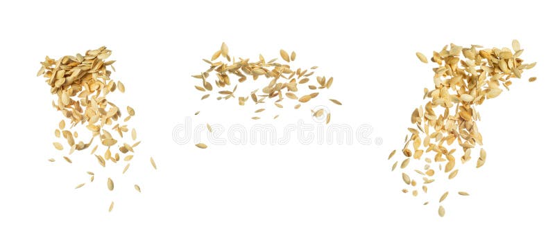 Set of Pumpkin Seeds Falling in Free Motion Bulk. Isolated Over White ...
