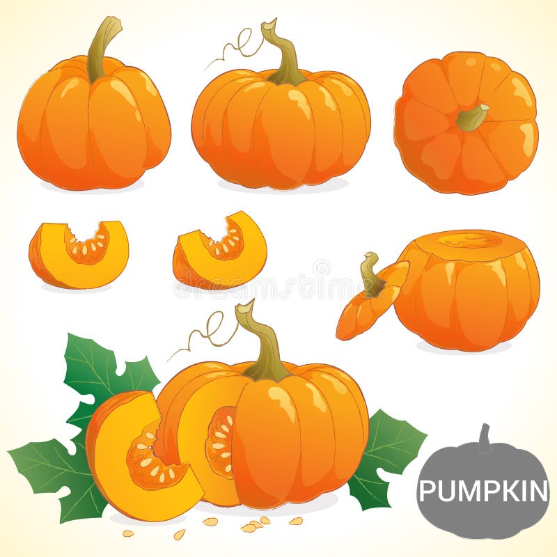 Set of Pumpkin in Various Styles Vector Format Stock Vector ...