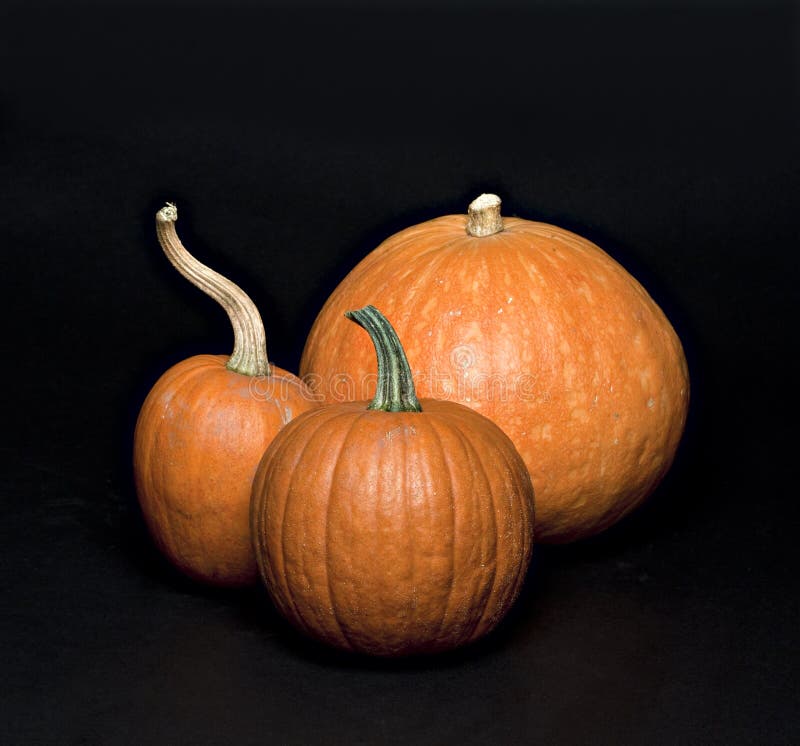 Set of pumpkins. stock image. Image of arrangement, black - 21745867