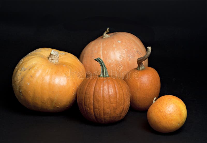 Set of pumpkins. stock image. Image of halloween, calabaza - 21746121