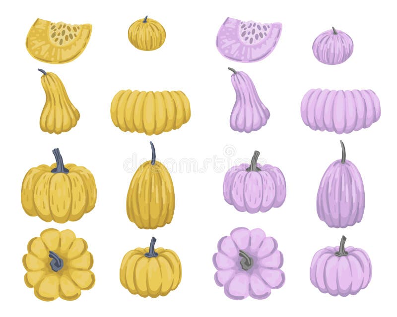 Set of Pumpkins of Different Colors and Forms. Autumn Design Elements ...
