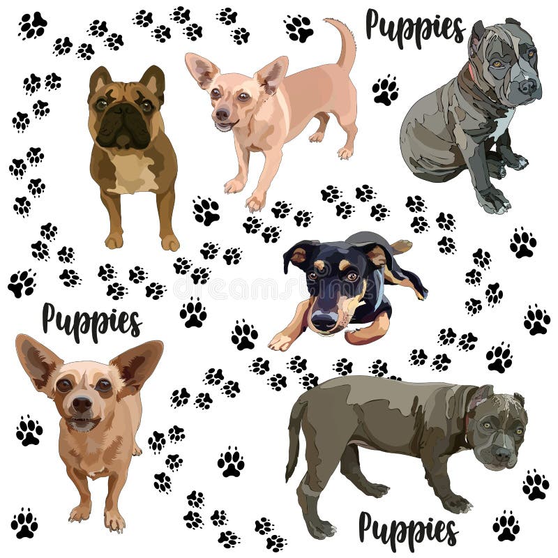 Set of puppies stock vector. Illustration of hound, beagle - 160129060