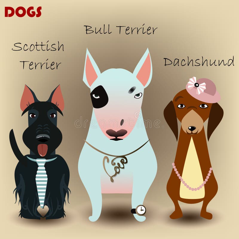 Purebred dogs cartoon set stock vector. Illustration of humor - 27833650