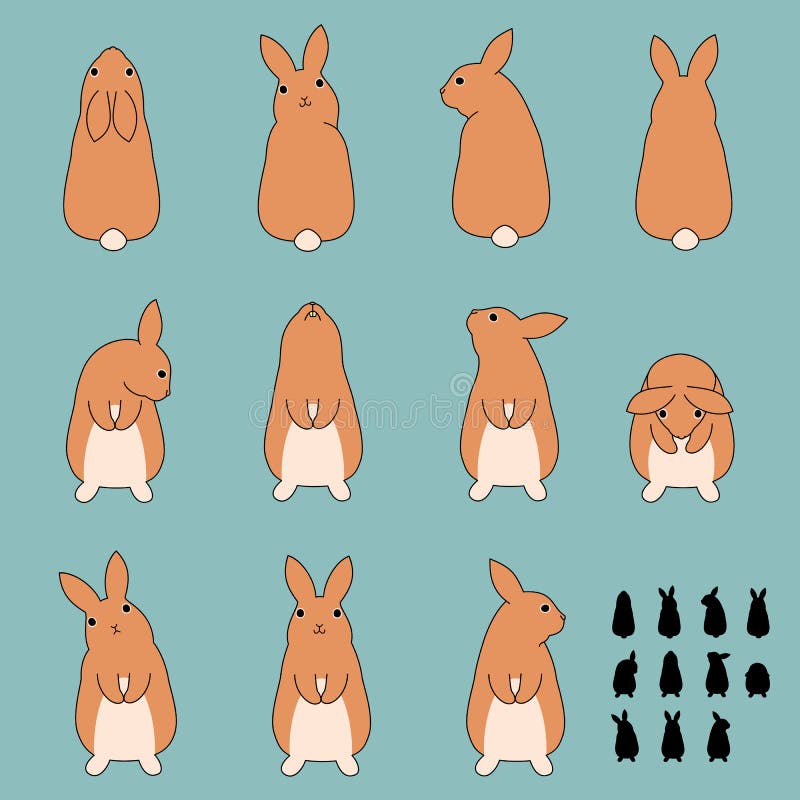 Set of Rabbit Sitting Poses Stock Vector - Illustration of tail ...
