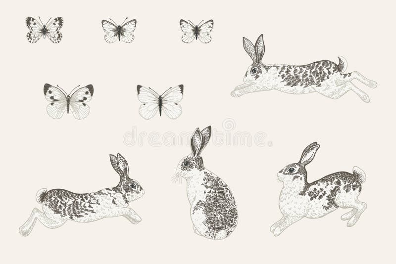 Set with Rabbits and Butterflies Stock Vector - Illustration of ...