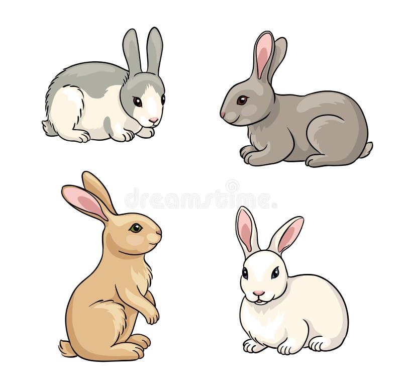 Set of Rabbits - Vector Illustration Stock Vector - Illustration of ...