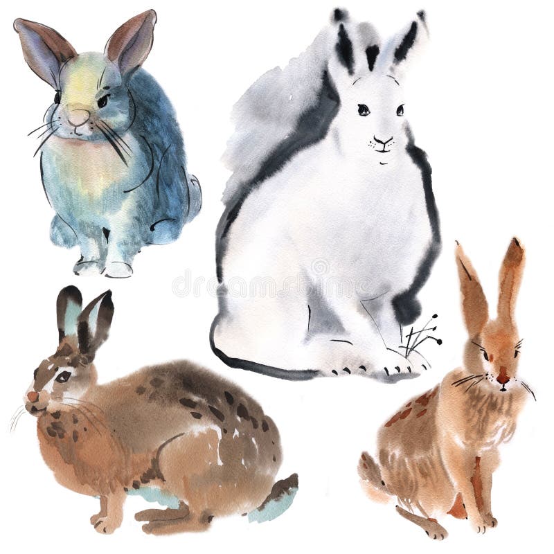 Set of rabbits stock illustration. Illustration of artwork - 86192360
