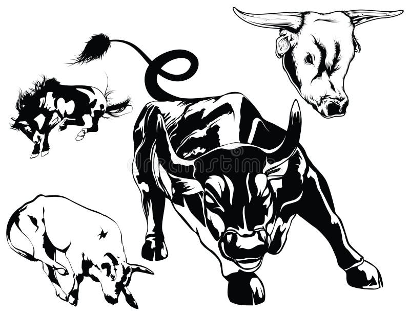 Set of Raging Bulls Vector Illustration Poster Template Stock Vector ...