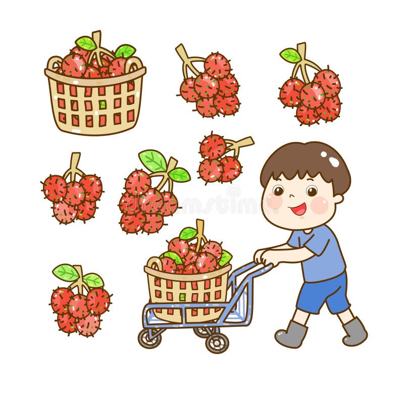 Rambutan Tree Drawing