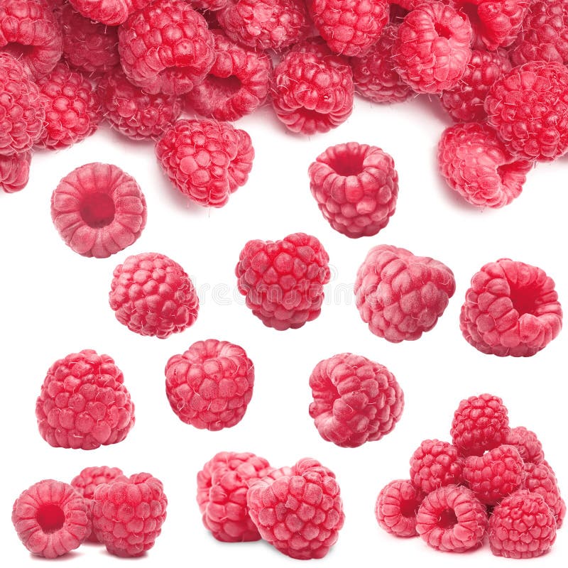 Set from raspberry stock image. Image of season, studio - 38636653