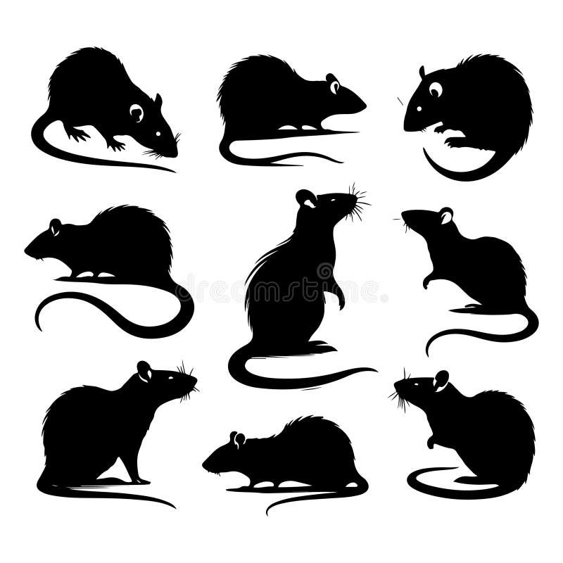 Set of Rat Silhouette Vector on a White Background Stock Illustration ...