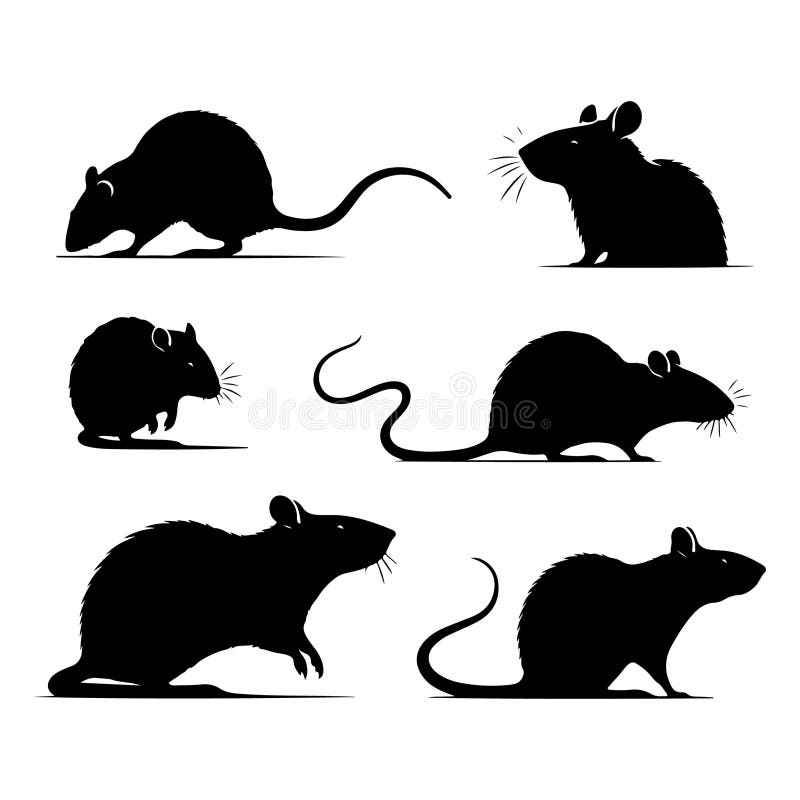 Set of Rat Silhouette Vector on a White Background Stock Illustration ...