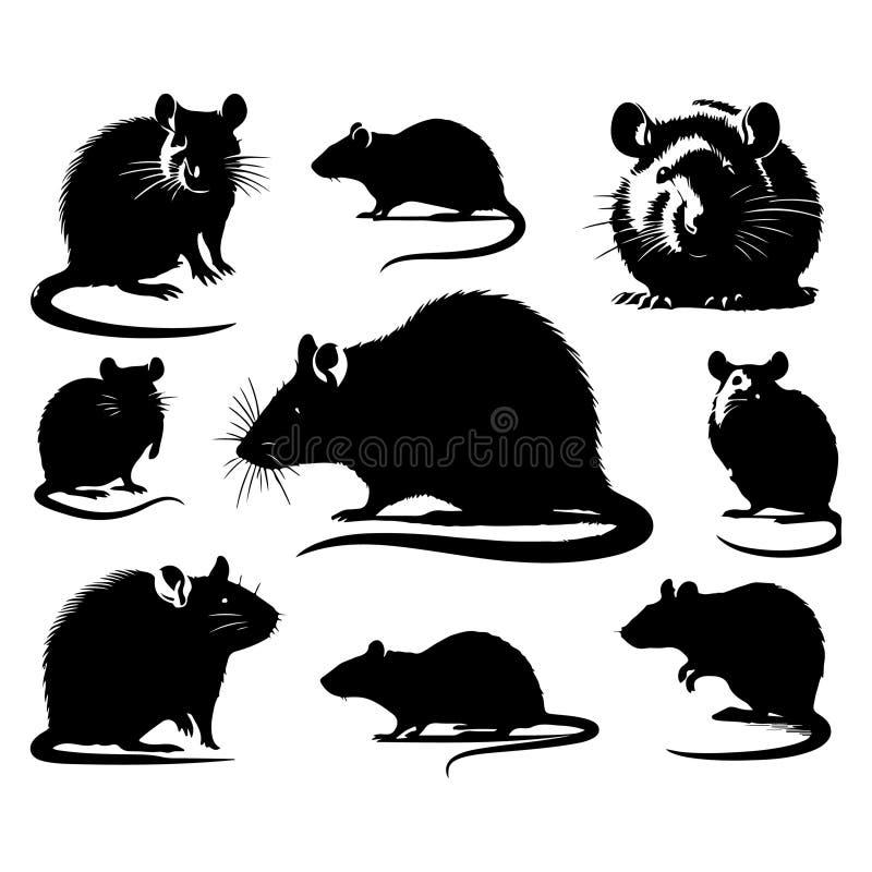 Set of Rat Silhouette Vector on a White Background Stock Vector ...