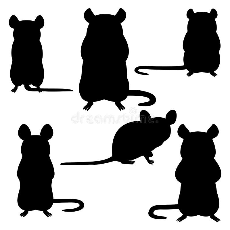 Brown Rat Front White Stock Illustrations – 106 Brown Rat Front White ...