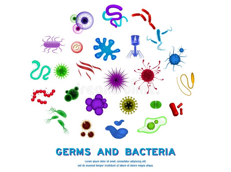 Set of Realistic Bacteria or Various Microscopic Virus and Germs or ...