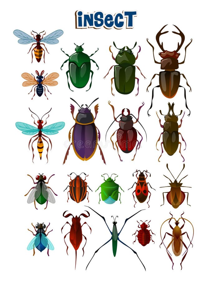Realistic Insects Stock Illustrations – 1,623 Realistic Insects Stock ...