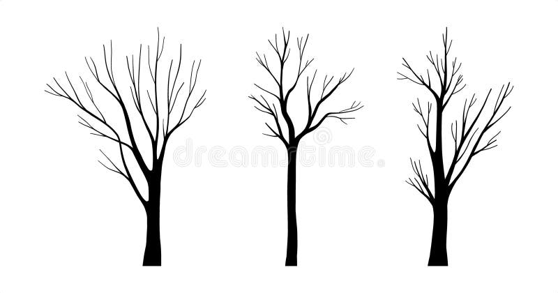 Set of Realistic Natural Leafless Bare Tree Hand Drawn Autumn ...