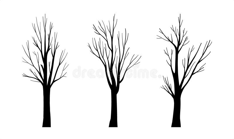 Set of Realistic Natural Tree Silhouette with Bare Branches Stock ...