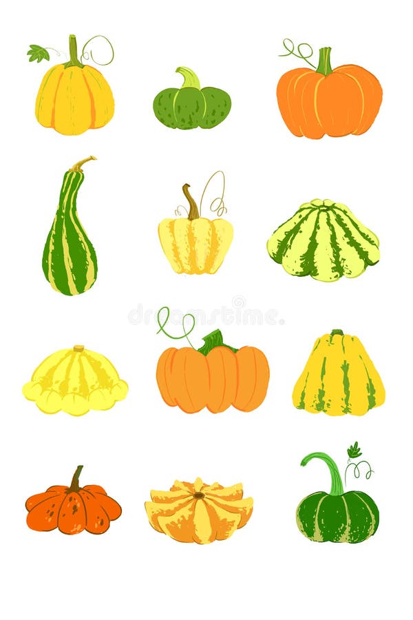 Set of realistic pumpkins. stock illustration. Illustration of colorful ...